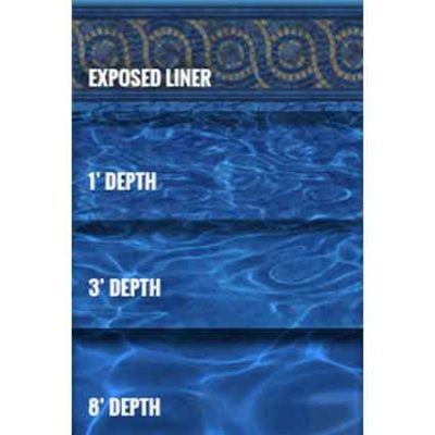 COVINGTON WITH DELFIN INGROUND/ONGROUND POOL LINER